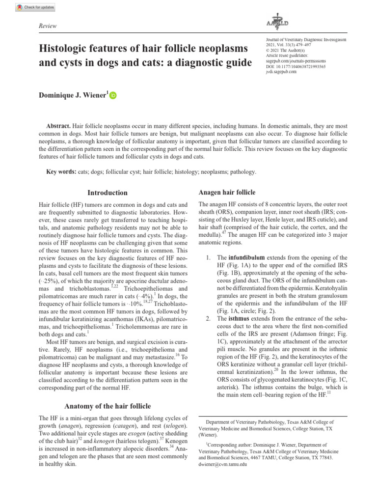 Hair Follicle Tumors in Dogs and Cats | PDF | Neoplasms | Epithelium