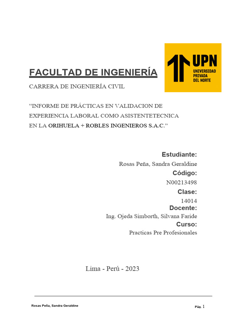 Modelo de Informe de PPP | PDF | Calidad (comercial) | Business