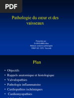Automatisme Cardiaque | PDF | Contraction du muscle | Électrocardiographie