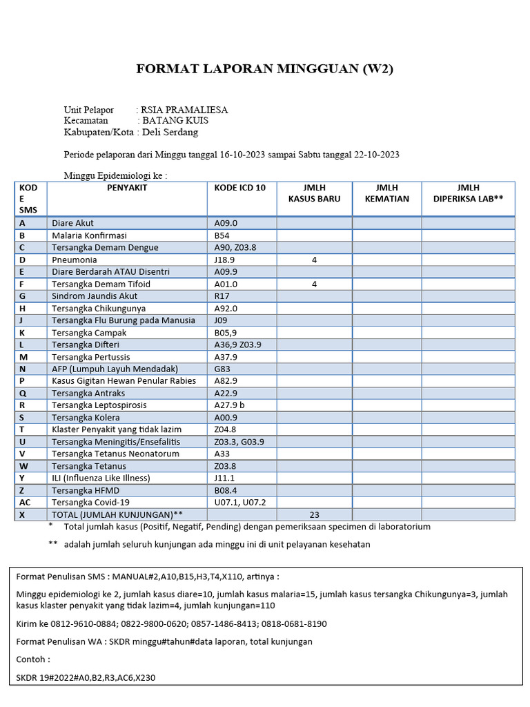 FORMAT LAPORAN SKDR 16 - 22 Oktober 2023 | PDF