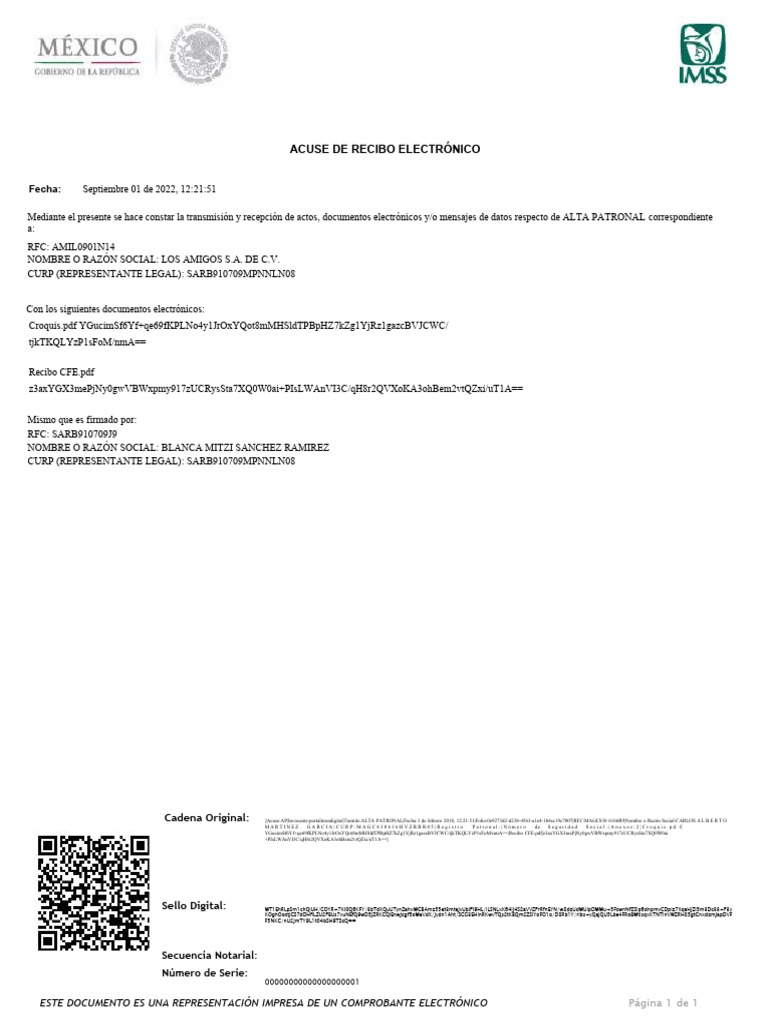 Acuse de Recibo Electrónico ALTA PATRONAL | PDF | Informática ...