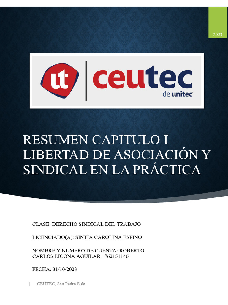Resumen Capitulo I Libertad de Asociación y Sindical en La Práctica | Descargar gratis PDF ...