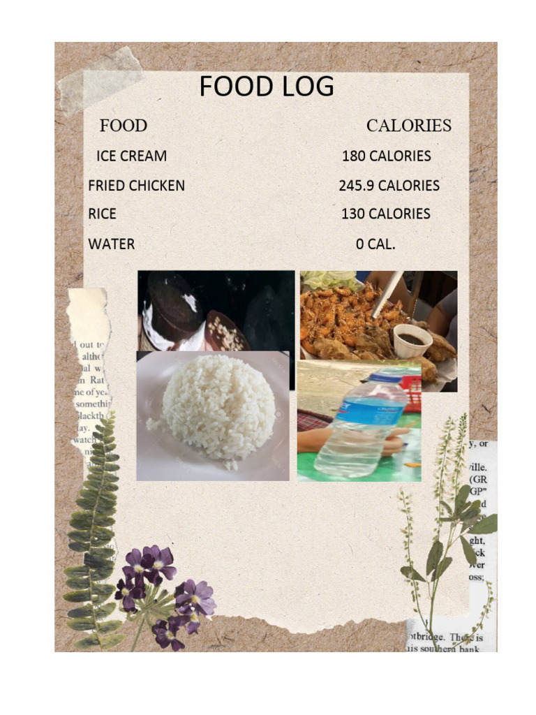 Food Log | PDF