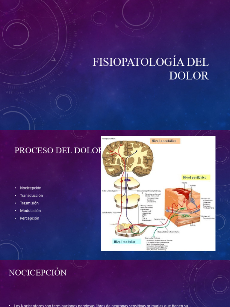 Fisiopatología Del Dolor | PDF | Dolor | Neurociencia
