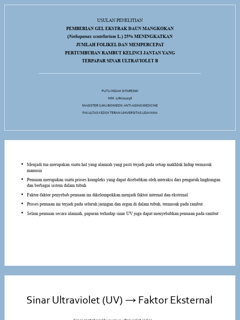 Power Point Usulan Penelitian | PDF