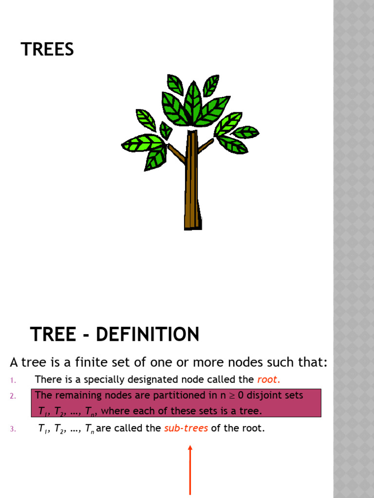 Trees 1 Pdf Algorithms And Data Structures Theoretical Computer Science 6204