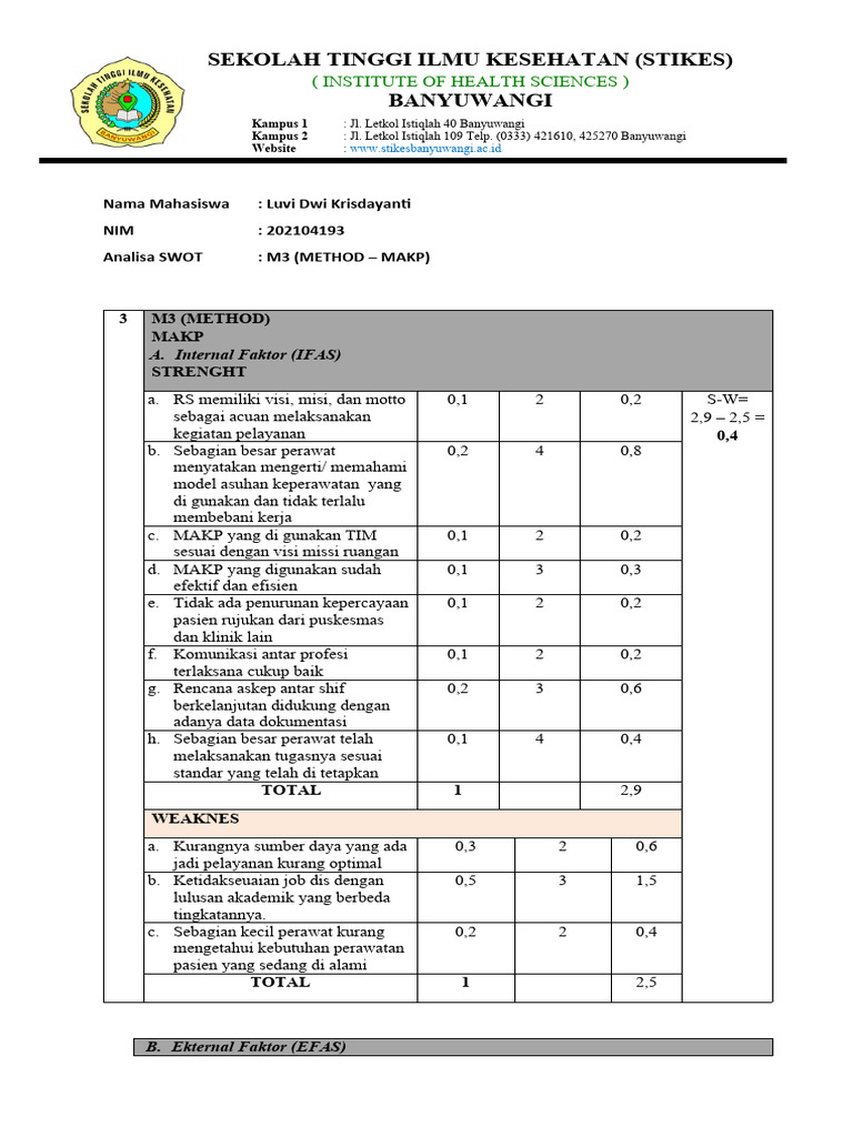 Analisa LUVI SWOT METHOD (MAKP) | PDF