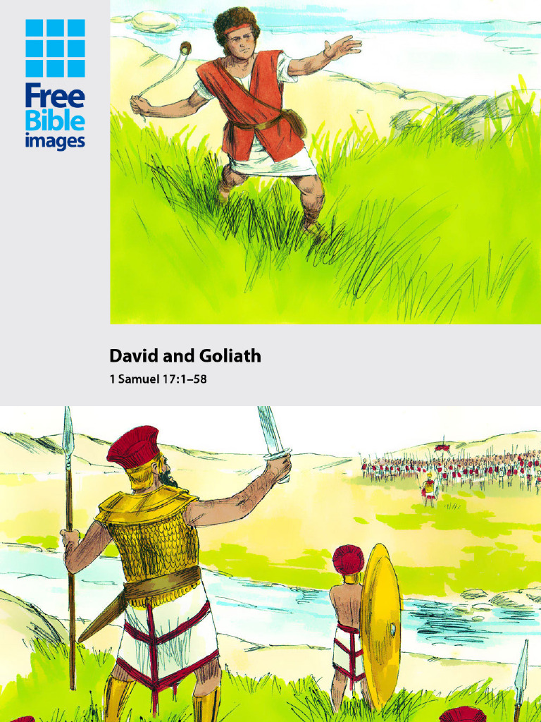 FB David Goliath PDF | PDF