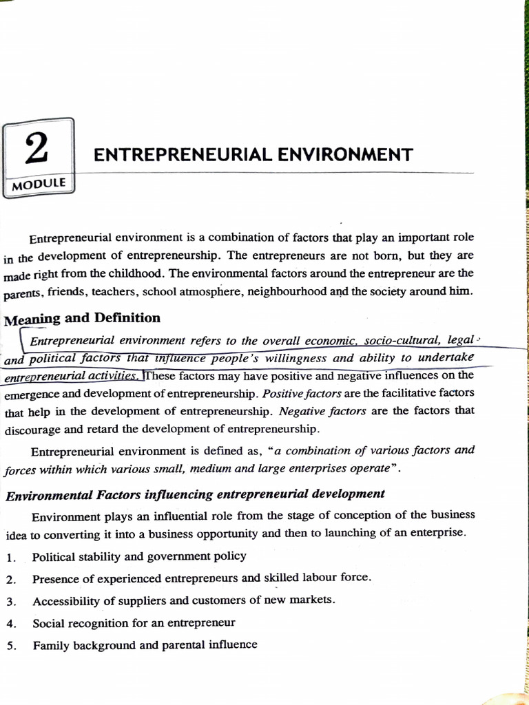 Entrepreneurial Environment | PDF | Entrepreneurship | Supply Chain