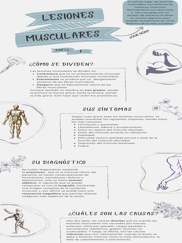 Infografía sobre las lesiones | PDF | Músculo esquelético | Asma