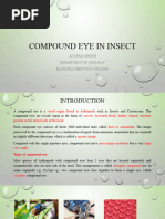 Gundhi Bug Zoo | PDF | Rice | Insects