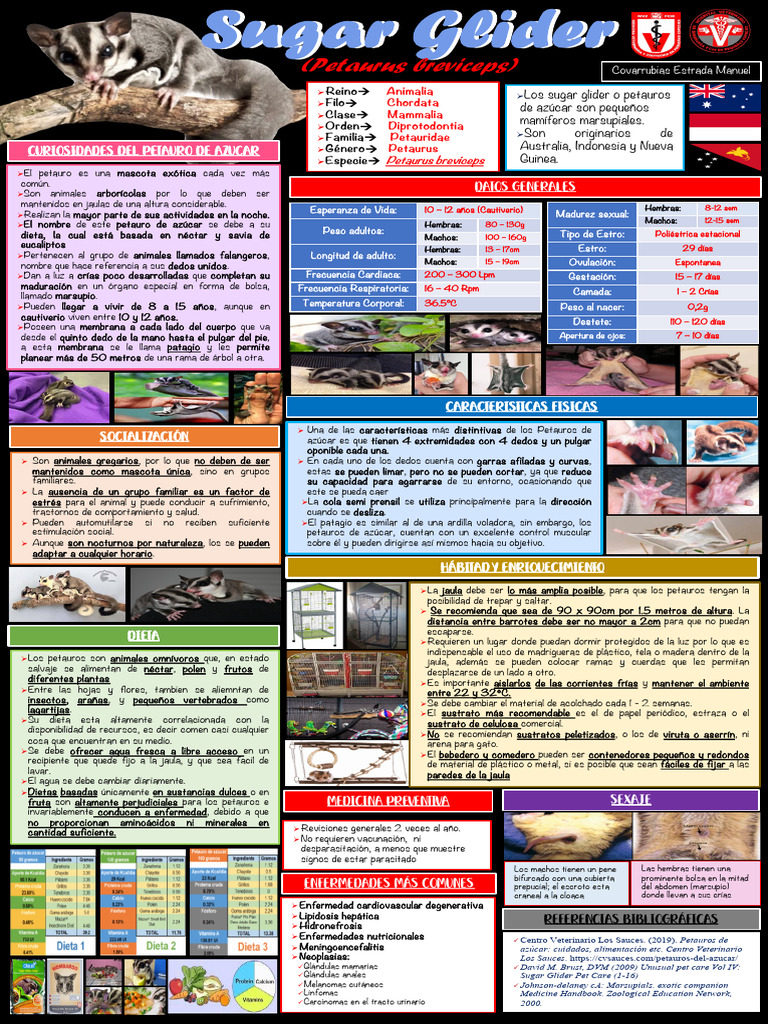 Infografia Sugar Glyder | PDF
