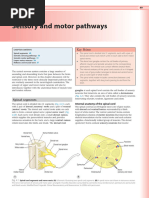 Dorsal Column-Medial Lemniscus (DCML) Pathway - Anatomy - Kenhub | PDF ...