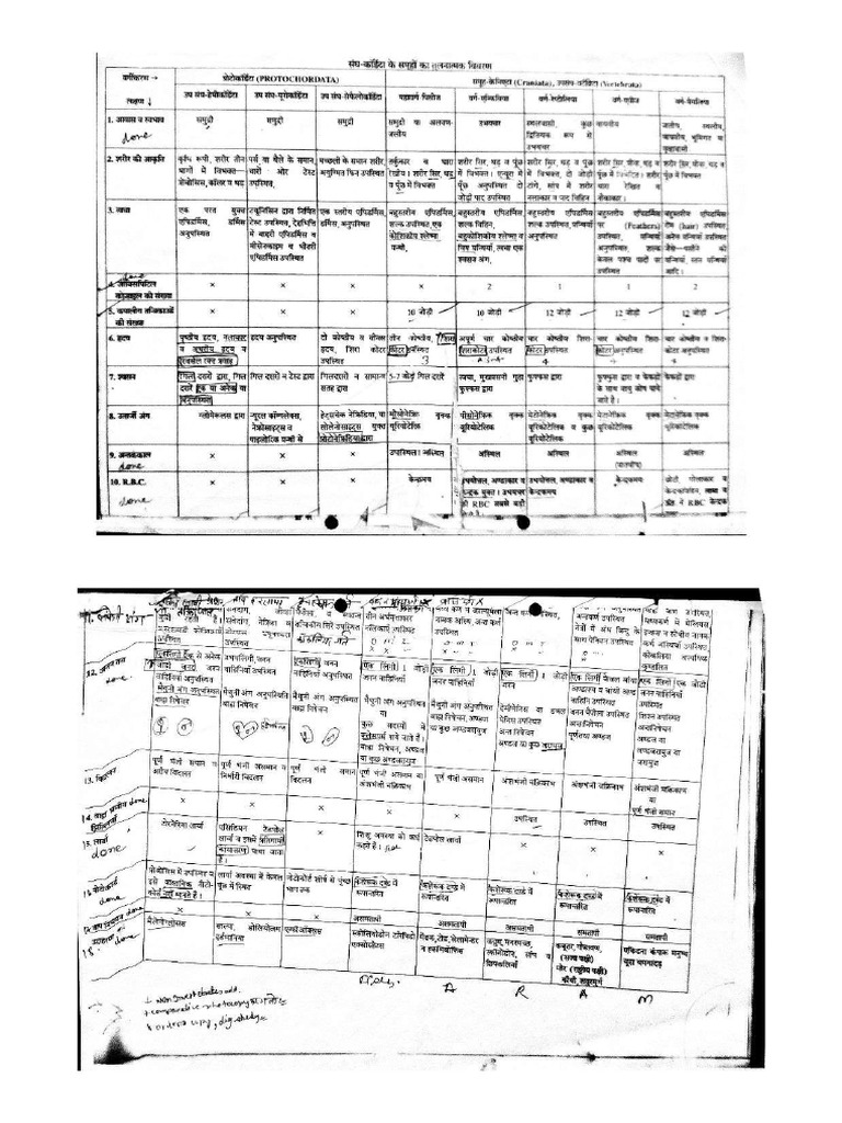 MSC 3rd Sem Project | PDF