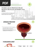 Guideline BPH 2017 PDF | PDF