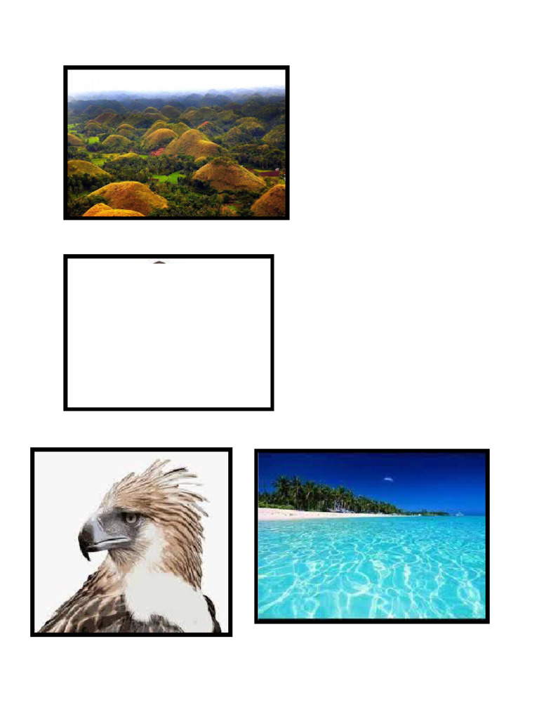 Kids Assignment | PDF