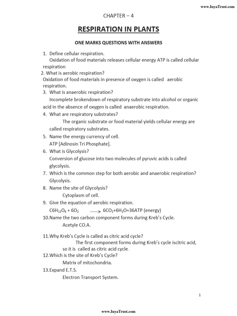 Respiration in Plants | PDF