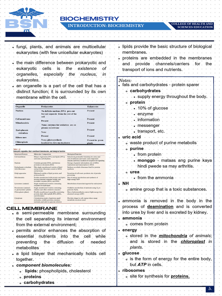 Biochemistry Transes 20231108 211459 0000 | PDF | Cell (Biology) | Cell ...