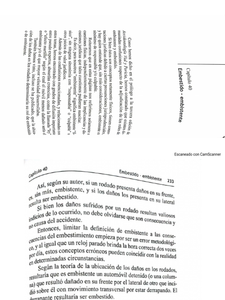 Embistente - Embestido. Irureta | PDF