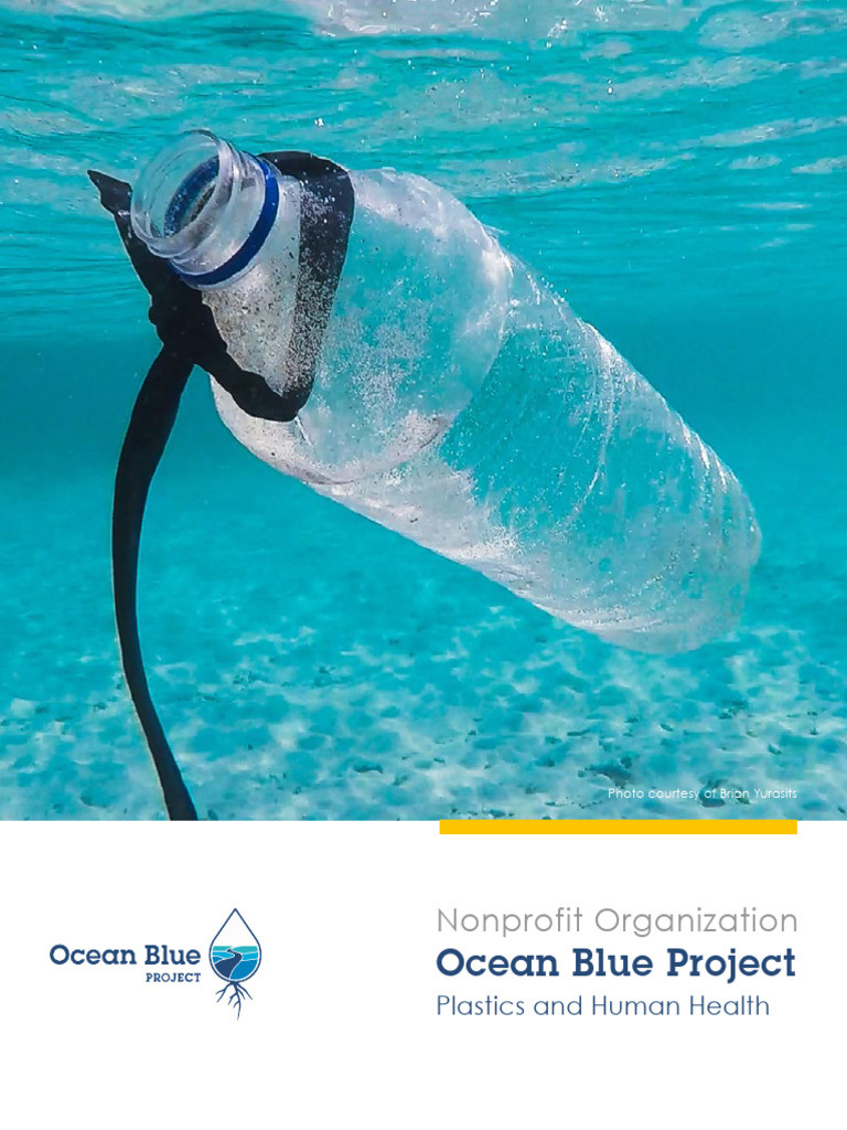 Ocean Blue Project Plastic and Human Health Report | Download Free PDF ...