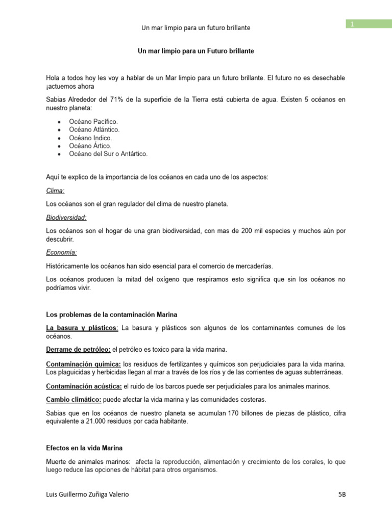Un Mar Limpio para Un Futuro Brillante | PDF | Mar | Contaminación