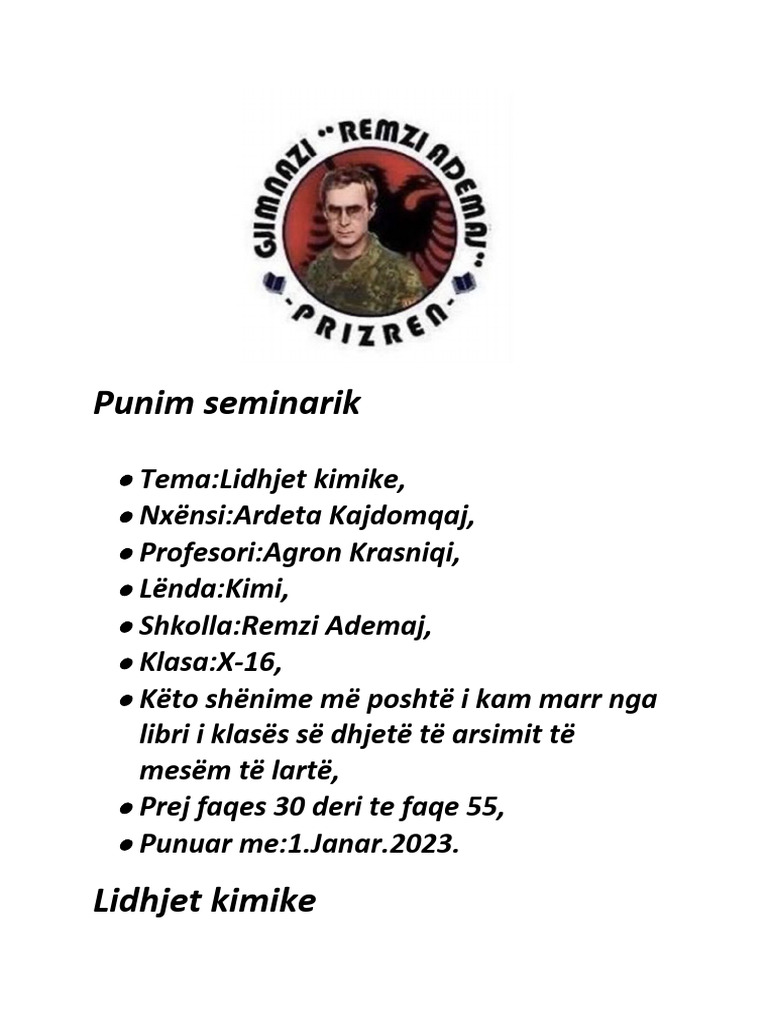Punim Seminarik | PDF