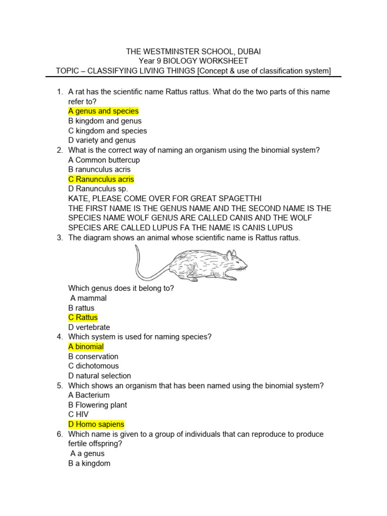 Classification Worksheet | PDF
