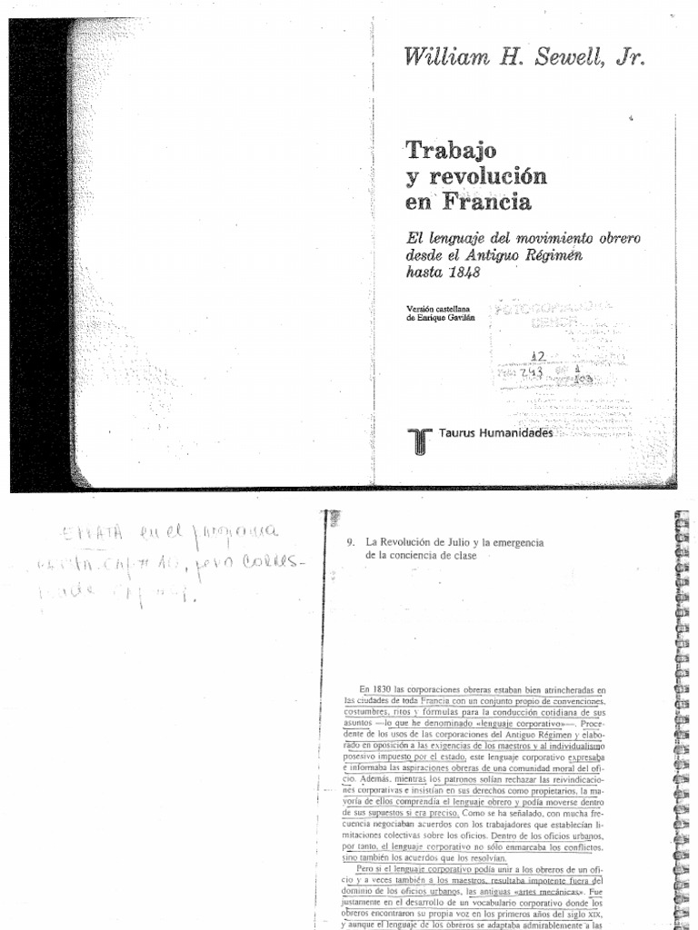 Sewell - Trabajo y Revolución en Francia (Caps 9 y 11) | PDF