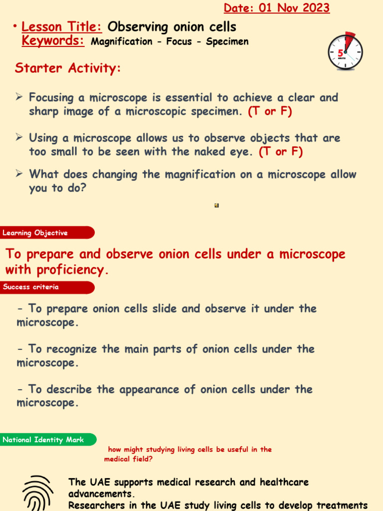 Onion Cells Observation Presentation | PDF | Microscope | Cell (Biology)