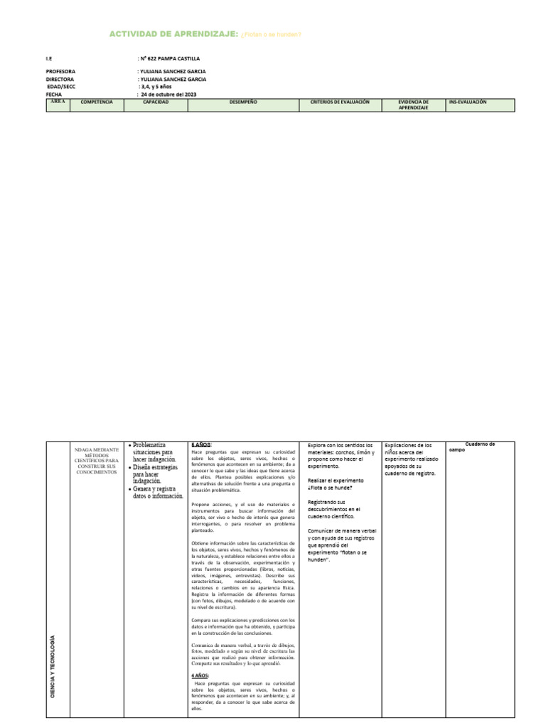 Experimento: ¿Flotan o se hunden? | PDF | Evaluación | Experimentar