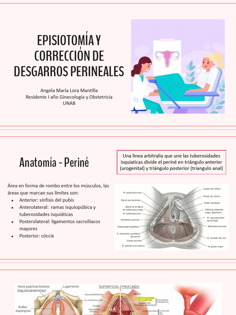 Episiotomia y Desgarros Perineales | PDF | Parto | Vagina