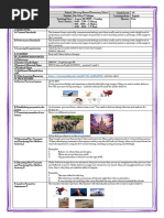 Real vs. Make-Believe Images Lesson | PDF | Learning | Image