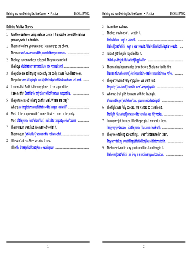Defining Relative Clauses: 2 Instructions As Above | PDF