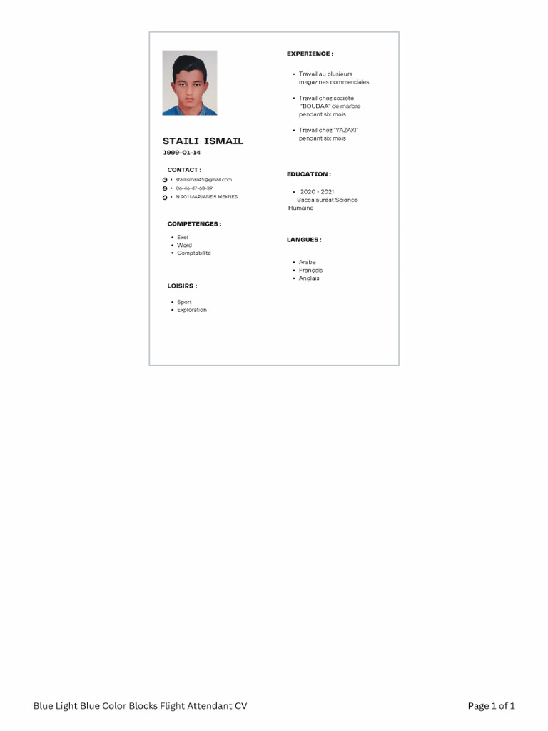 Blue Light Blue Color Blocks Flight Attendant CV | PDF