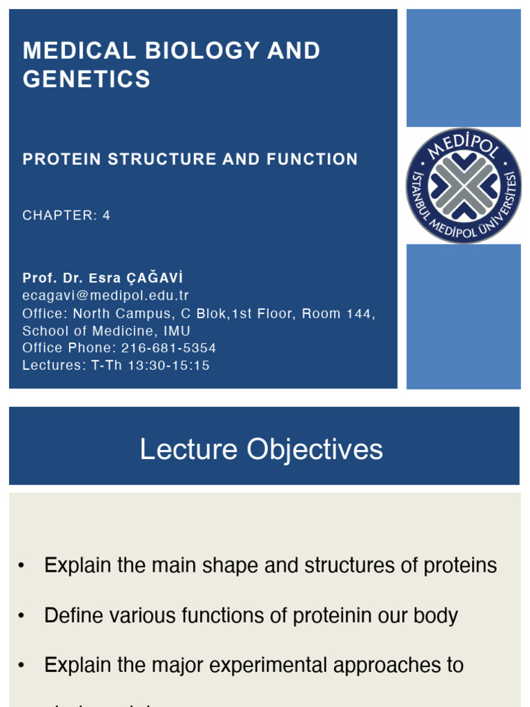 2023.10.10 MBG Proteins - Structure and Function | PDF | Proteins | Protein Structure