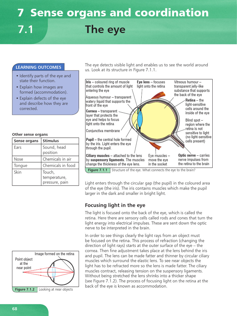 Integrated Science | PDF | Senses | Nervous System
