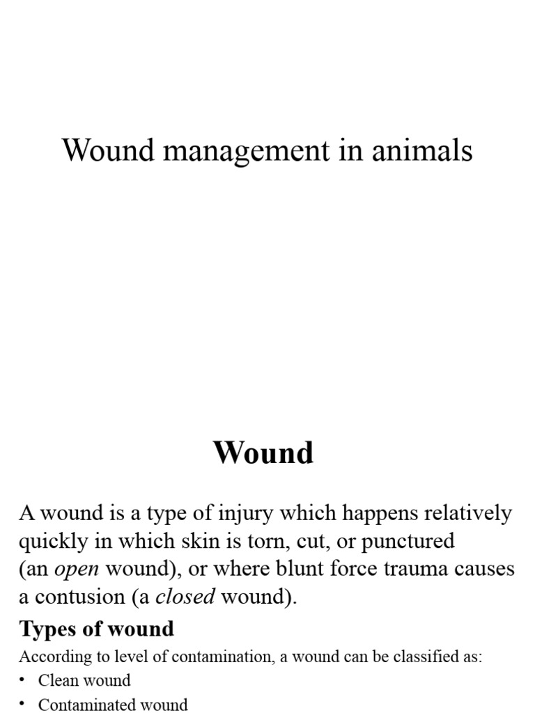 Wound Management in Animals | PDF | Law | Wellness