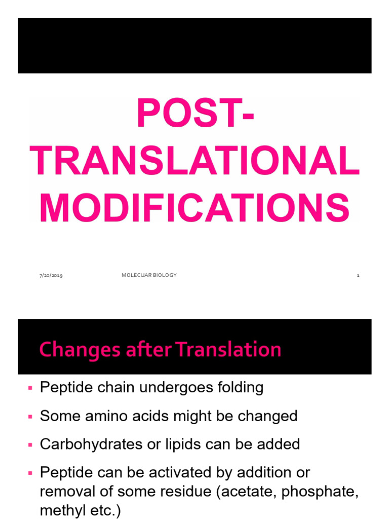 Post Translational Modifications Pdf Proteins Biology