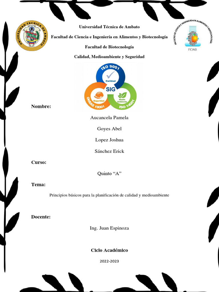 Ape - Asistida 2 Ape 2-Grupo 1 | PDF | Planificación | Business