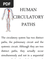 The 3 Types of Circulation | PDF