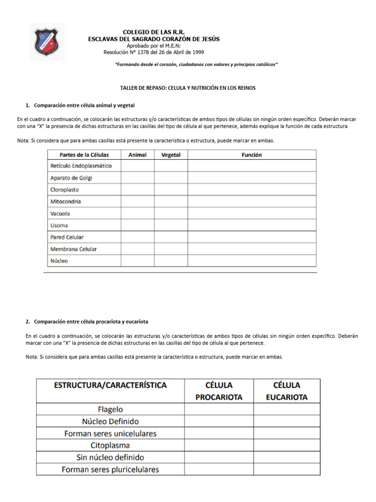 Taller de Repaso Celula y Nutricion | PDF