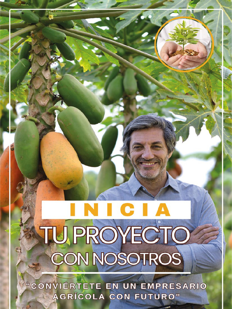 Proyecto Papaya Sinta F1 v2 | PDF | Agricultura | Siembra