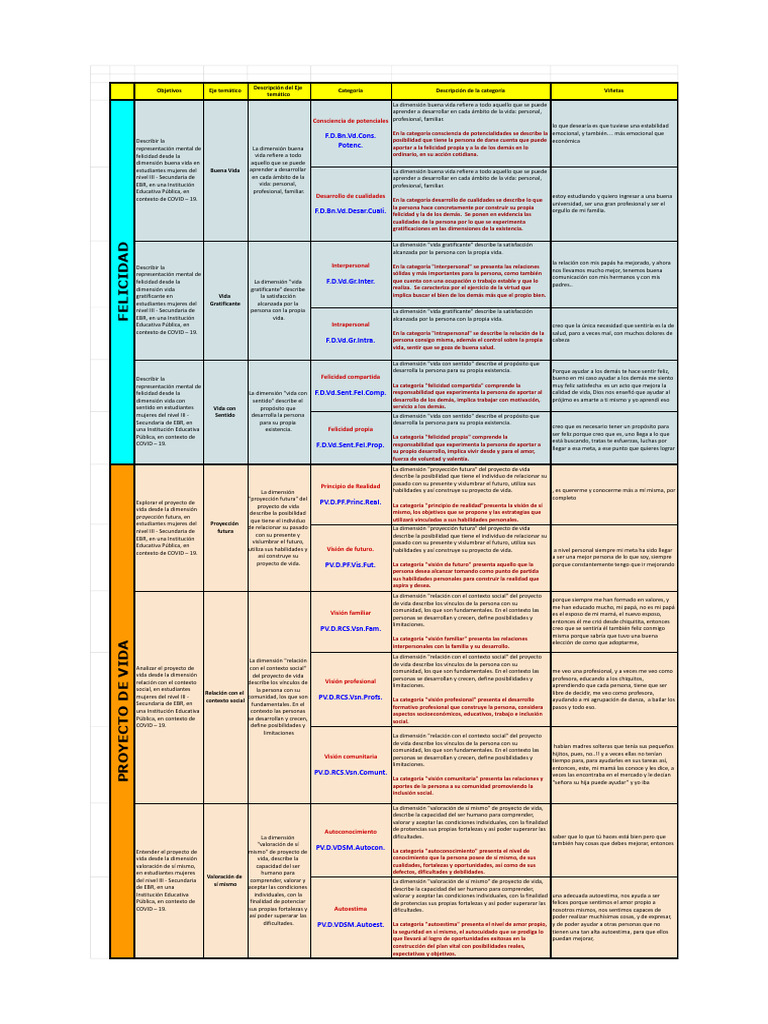 03 Tabla de Ejes Temáticos - Categorías y Definiciones - Hoja 1 | PDF | Autoestima | Felicidad