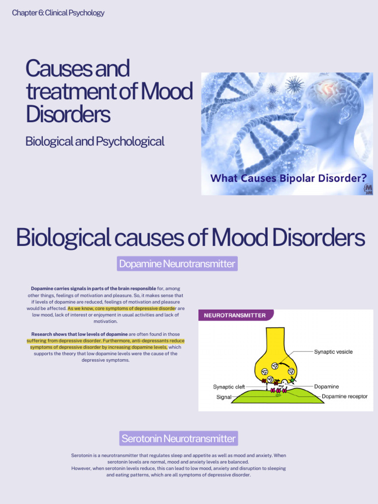 Causes and Treatments of Mood Disorders | PDF | Major Depressive ...