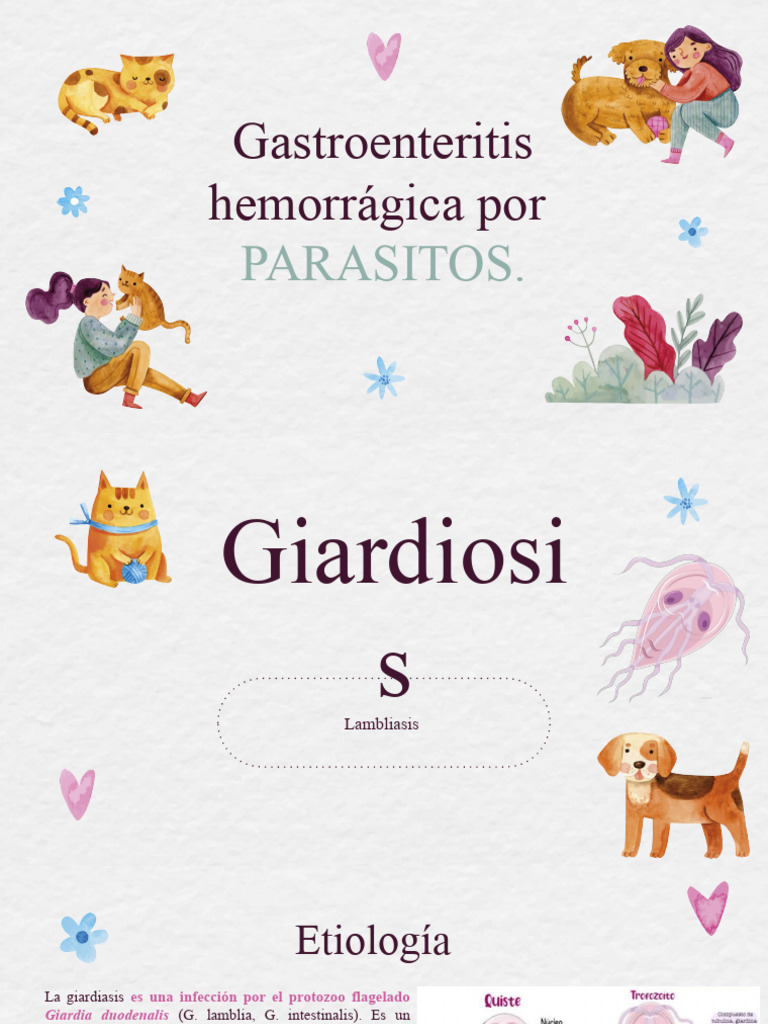 GH Por Parasitos | PDF | Diarrea | Especialidades Medicas