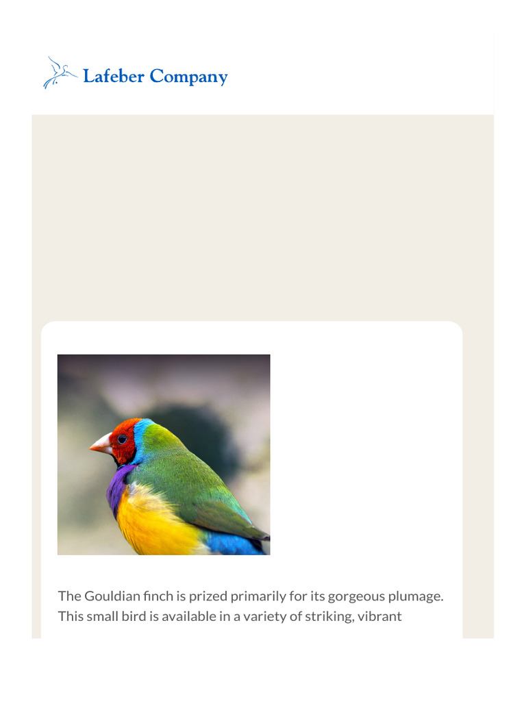 Gouldian Finch Personality, Food & Care - Pet Birds by Lafeber Co ...