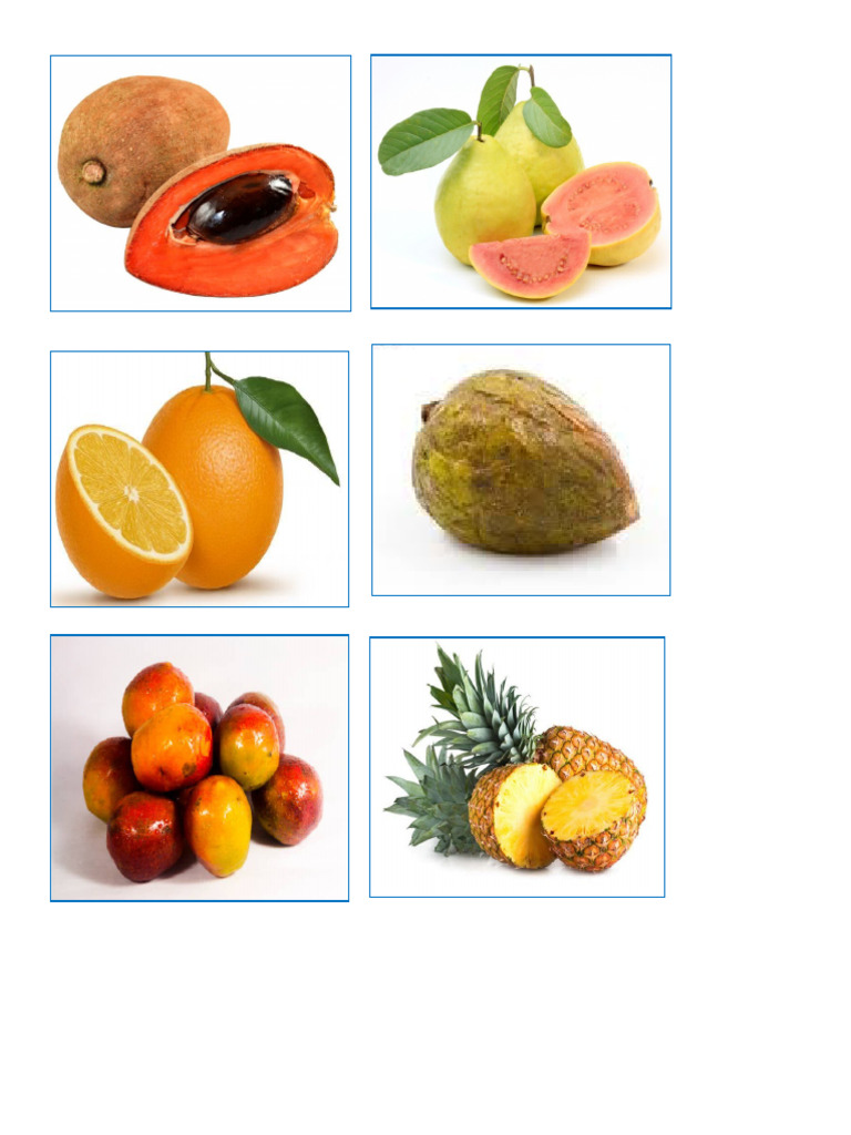 Frutas en Qeqchi | PDF