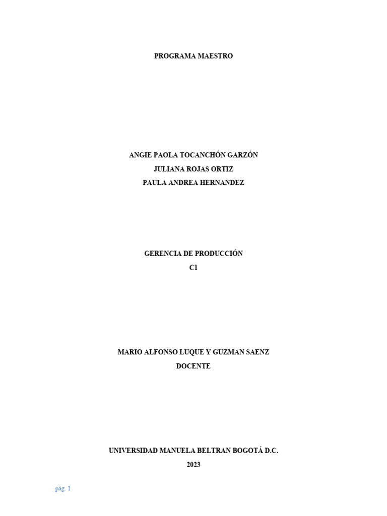 Programa Maestro | PDF