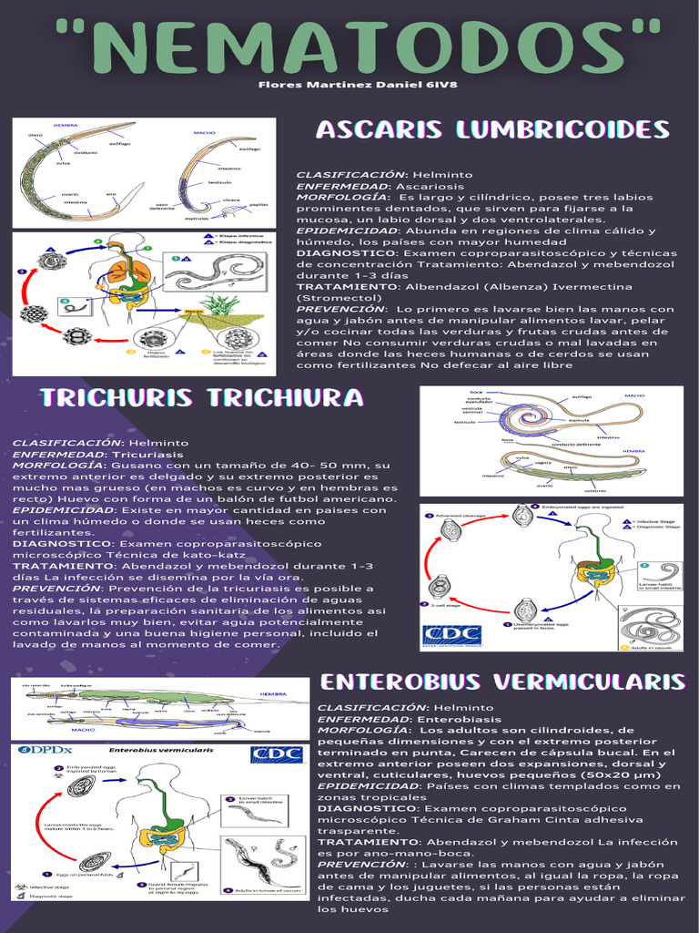 Nematodos | PDF | Parasitología | Enfermedades y trastornos