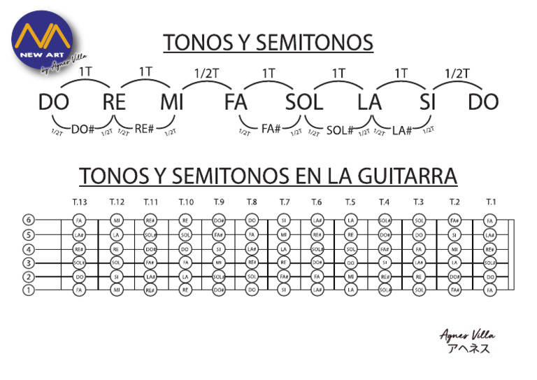 Tonos y Semitonos | PDF